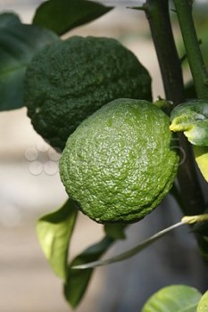 Vítejte na našem internetovém obchodě - ADAVO